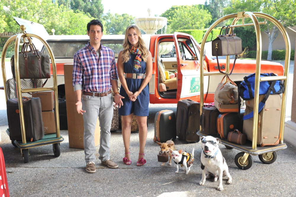 Beverly Hills Chihuahua Rachel Ashe