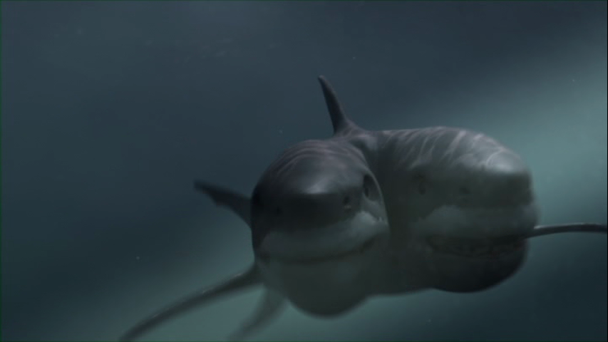 Corinne Nobili 2 Headed Shark Attack